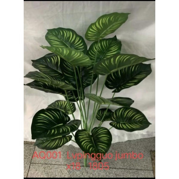 Jual Tanaman sudut Jumbo x18 Daun / Tangkai Daun Dekorasi Hias ...