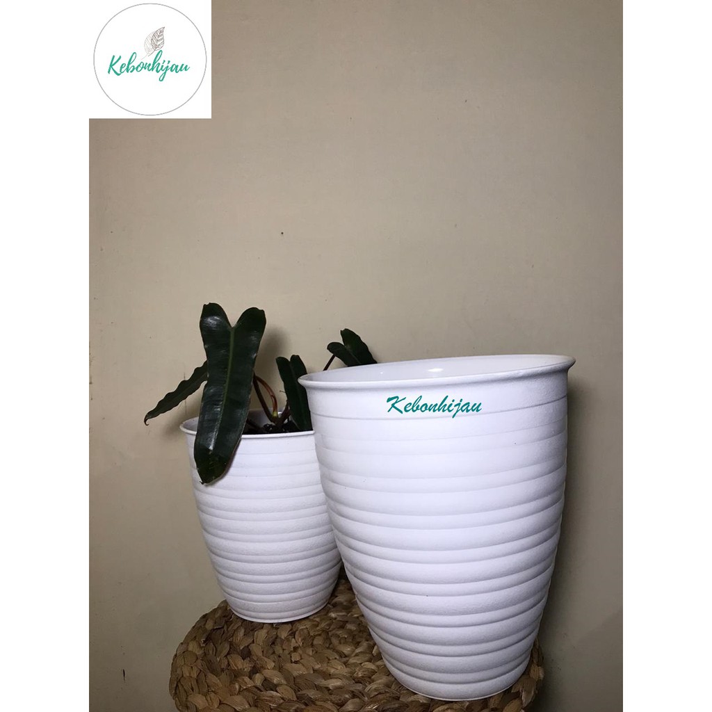 Jual Pot Tawon Tirus 18 cm Putih / Pot Tawon Putih 18 cm / Pot Tawon ...