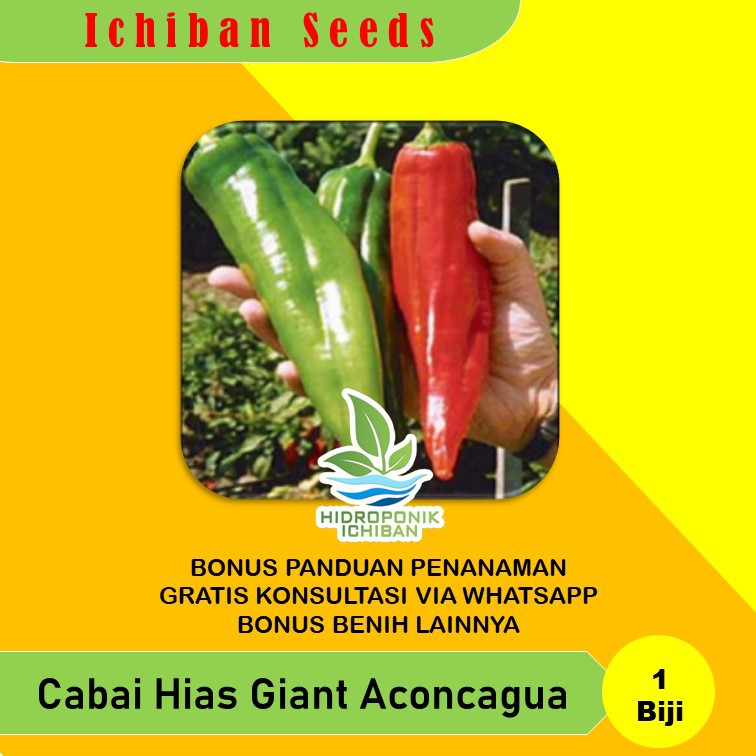 Jual Benih Bibit Biji CABAI CABE HIAS RAKSASA GIANT ACONCAGUA Kemasan ...