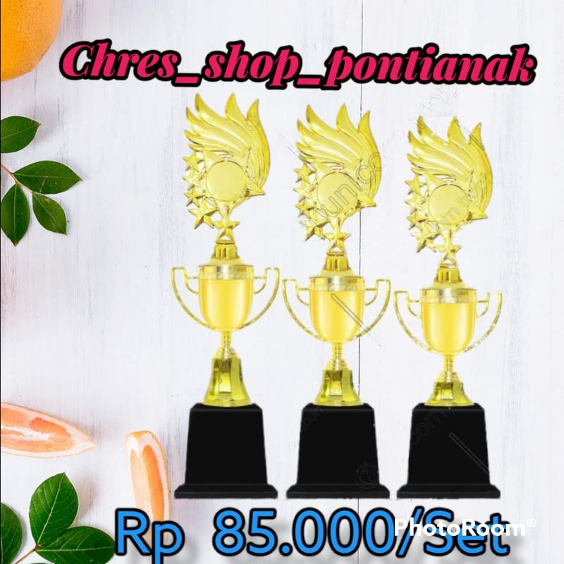 Jual Piala Model C-153 (1 set) | Shopee Indonesia
