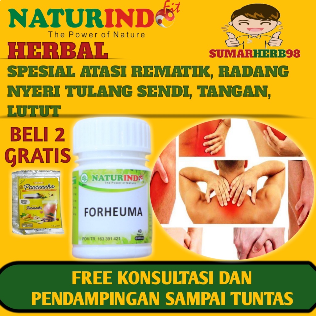 Jual Obat Rematik Rheumatik Keju Linu Ampuh Herbal Obat Nyeri Sendi ...