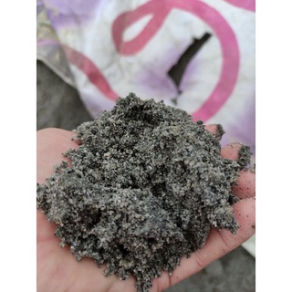 Jual Pasir putih rangkas | Shopee Indonesia