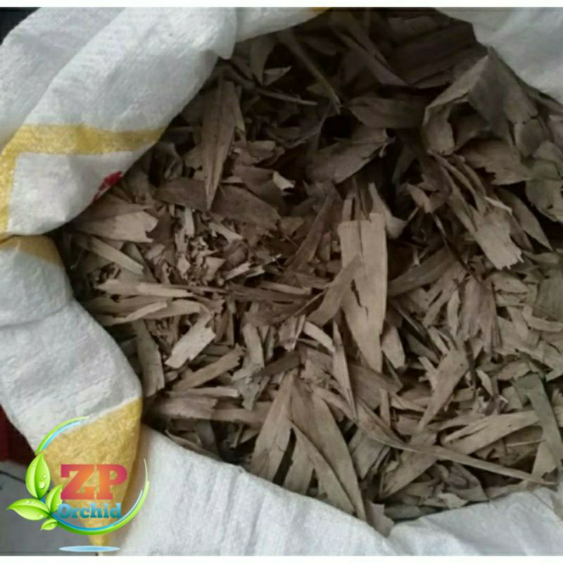 Jual Media Tanam Daun Bambu Kering | Shopee Indonesia
