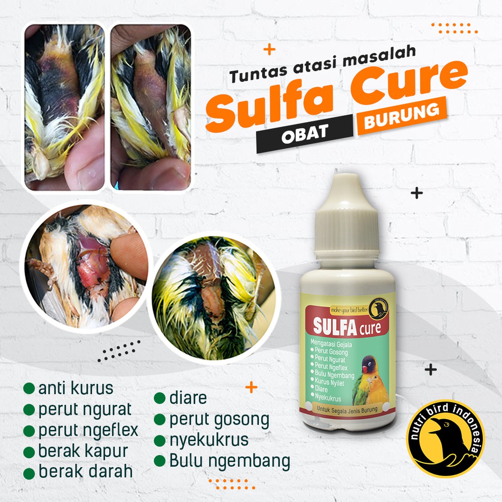 Jual SULFA CURE Obat Burung Sakit Pencernaan dan Kurus | Shopee Indonesia