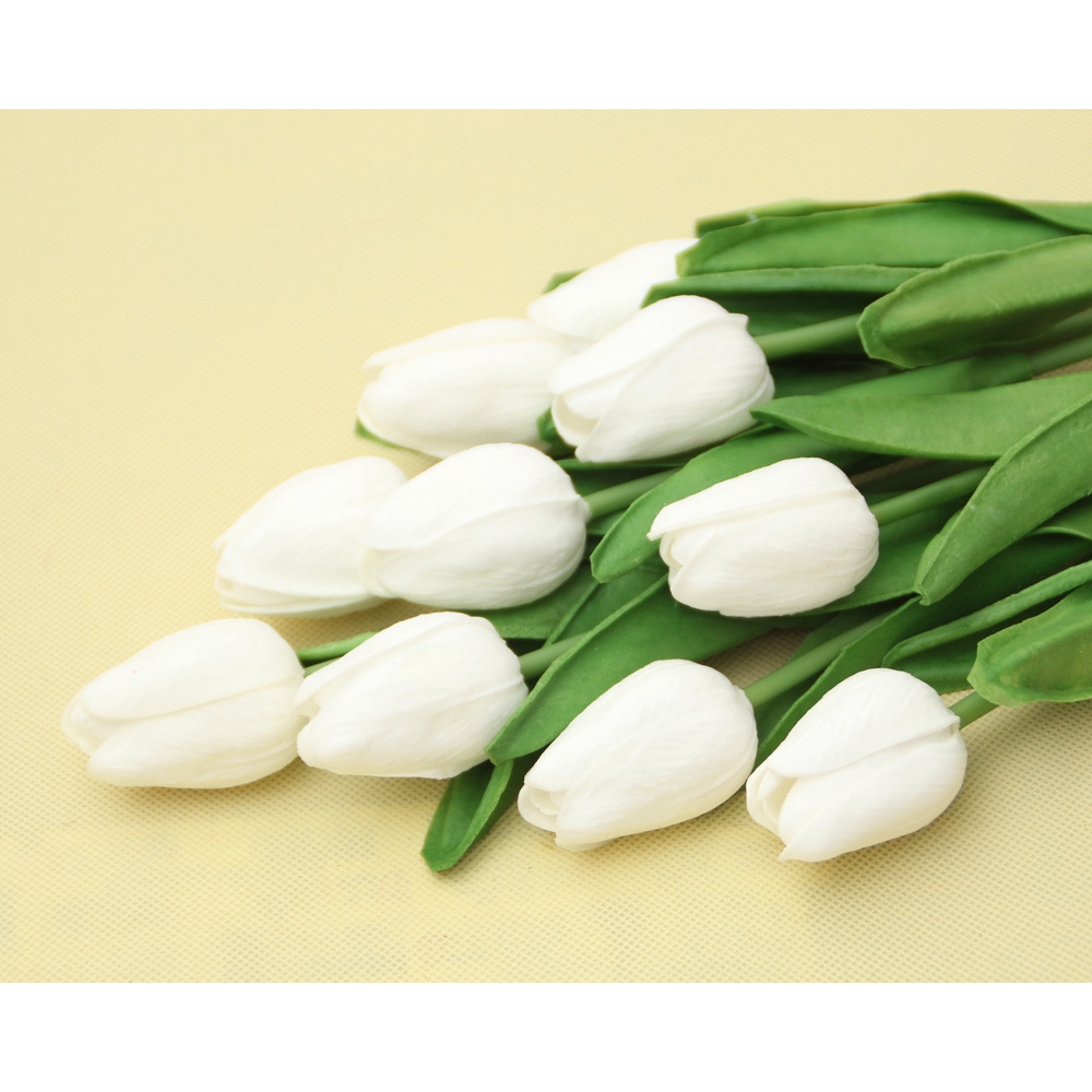 Menakjubkan 19+ Gambar Bunga Tulip Layu - Gambar Bunga Indah