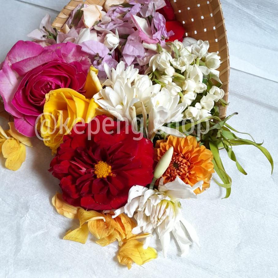 Jual BUNGA / KEMBANG 7 RUPA SEGAR MURAH | Shopee Indonesia