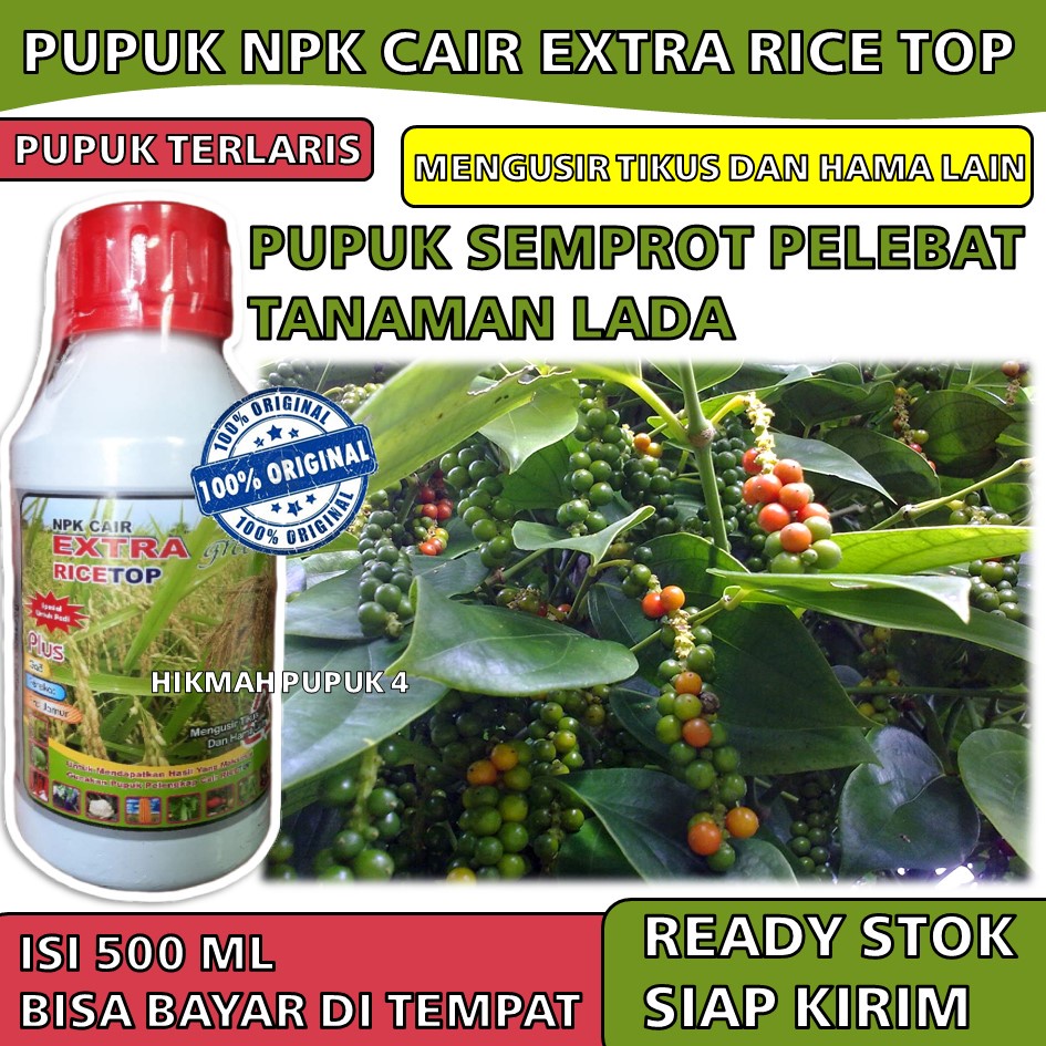 Jual PUPUK NPK CAIR EXTRA RICETOP 500 ML Pupuk Semprot Pelebat Tanaman Lada - Pupuk Perangsang ...