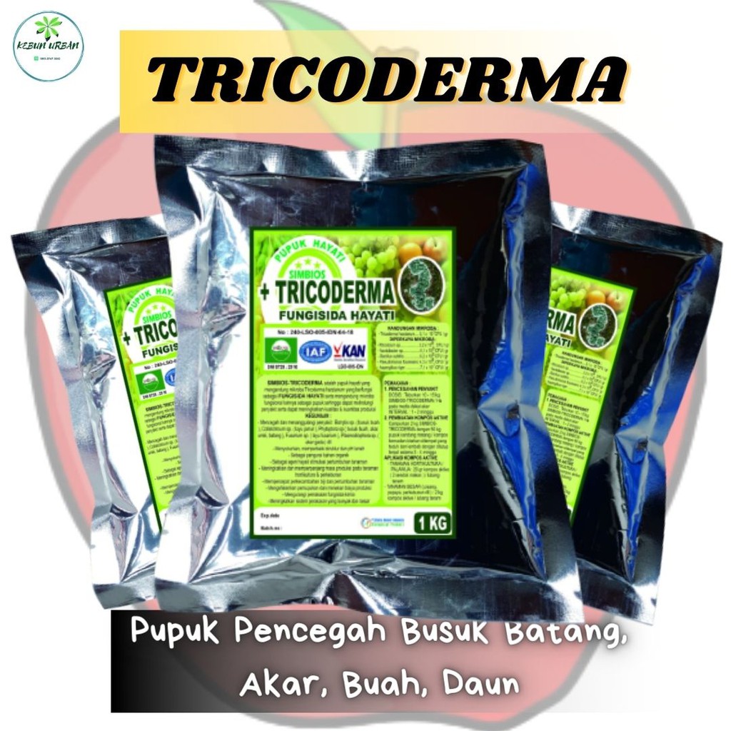 Jual Pupuk Hayati Tricoderma Symbios - Fungisida Hayati Tricoderma Organik Busuk Akar Batang ...