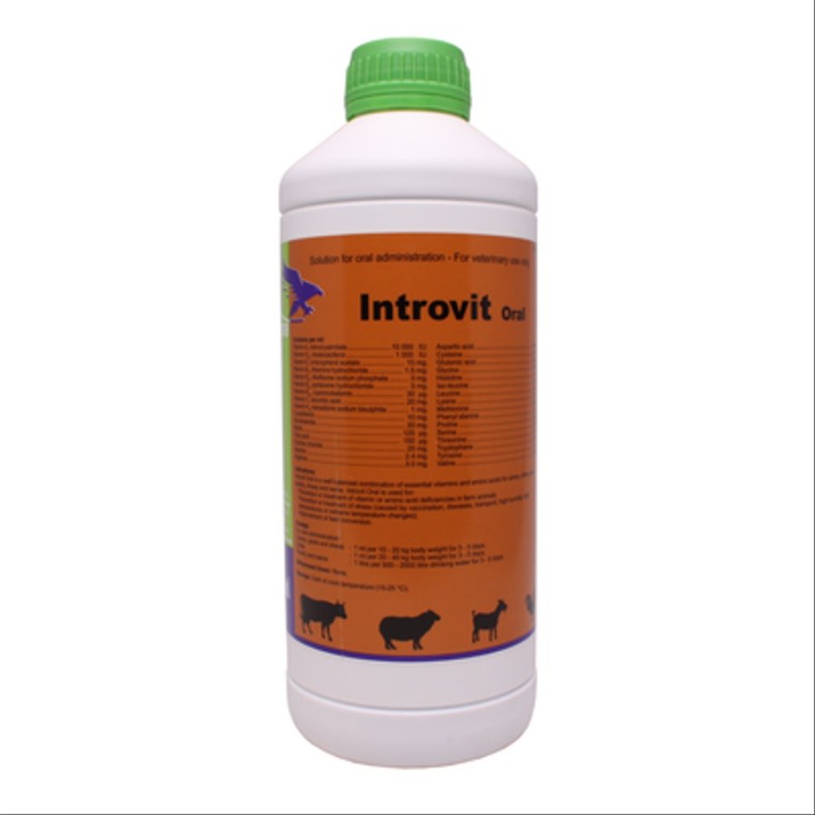 Jual Introvit ORAL 1000 ml 1 Liter 1 L Multivitamin 1000ml asam amino ...