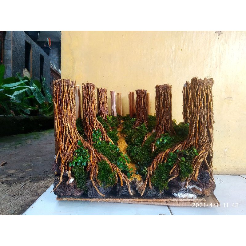 Jual hardscape jungle aquascape 40cm | Shopee Indonesia Jual hardscape jungle aquascape 40cm | Shopee Indonesia