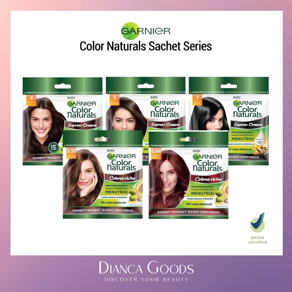 Jual GARNIER Color Naturals Series (Sachet Hijau) | Coklat / Coklat ...