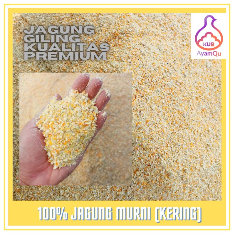 Jual JAGUNG GILING KUALITAS PREMIUM 1 KG | Shopee Indonesia