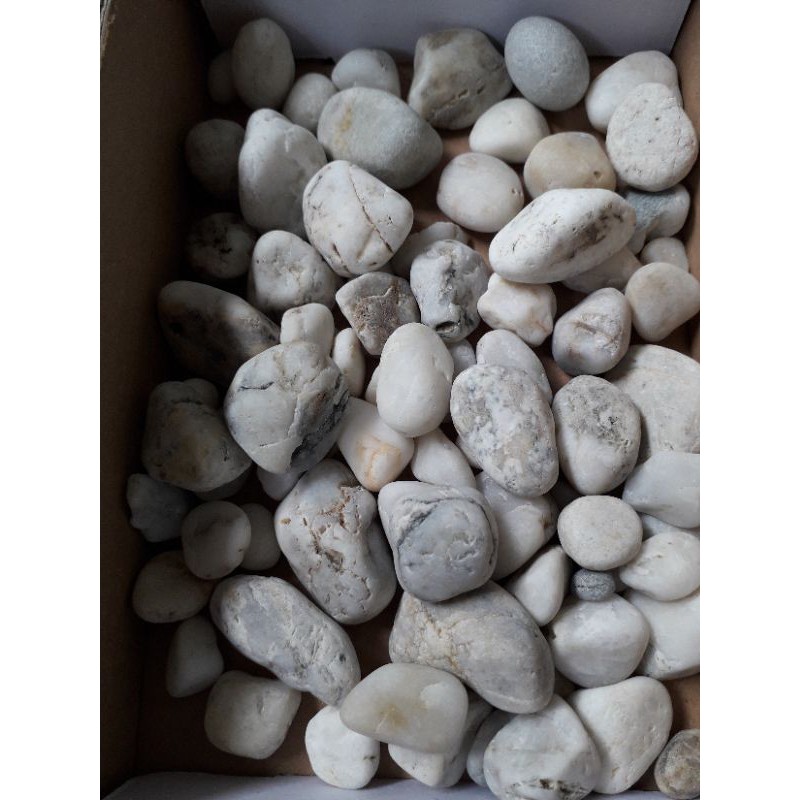 Jual Batu Hias/ Batu Taman / Batu Coral Putih 500gr | Shopee Indonesia