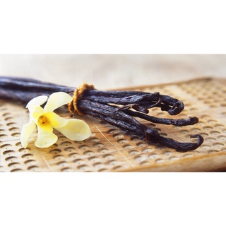 Jual Ekstrak Vanila Combani Vanilla extract / essence Braun vanila (1kg ...