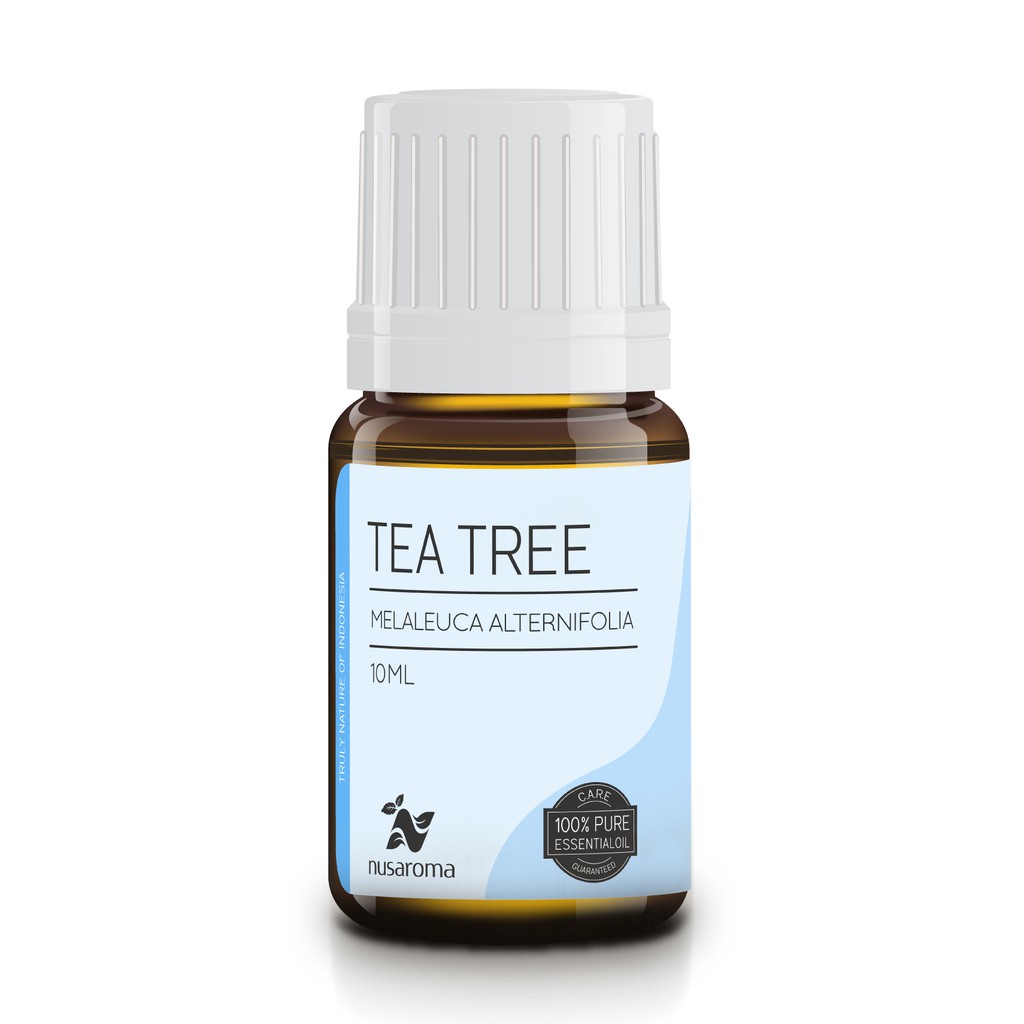 10 ml Tea Tree Essential Oil (Minyak Pohon Teh) Nusaroma | Shopee Indonesia