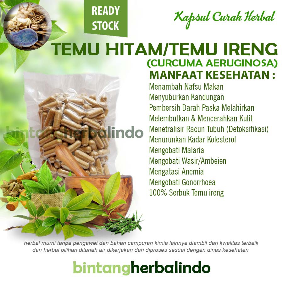 Jual TEMU HITAM IRENG 100 Kapsul Herbal Kesuburan Gonorrhoea Kurap ...
