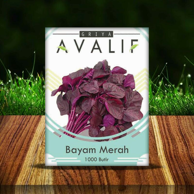 Jual Benih Bayam Merah 1000 Butir | Shopee Indonesia