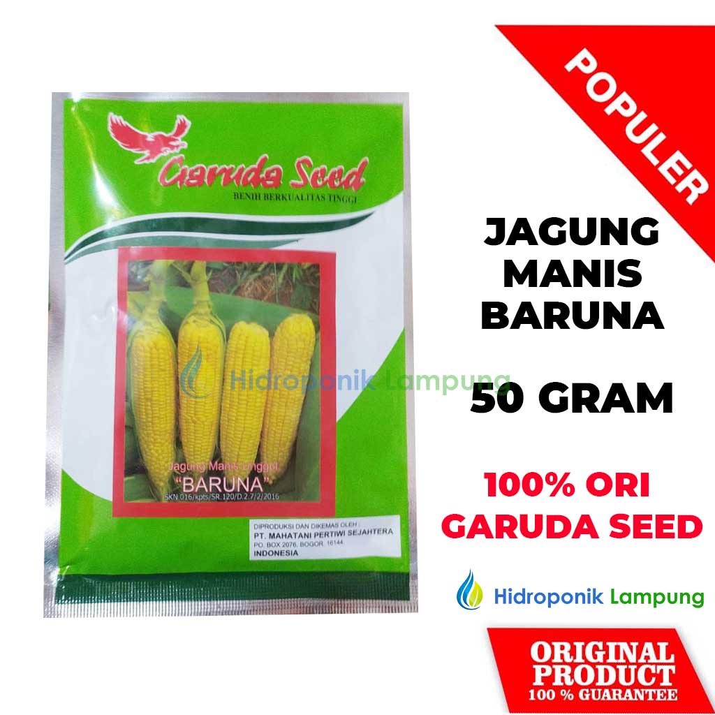 Jual BENIH BIBIT JAGUNG MANIS BARUNA CAP GARUDA SEED 50 GRAM | Shopee ...