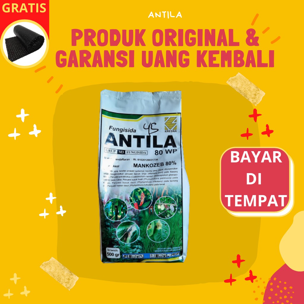 Jual Obat Fungisida Pembasmi Penyakit Jamur Tanaman Sayuran Sayur Padi ...