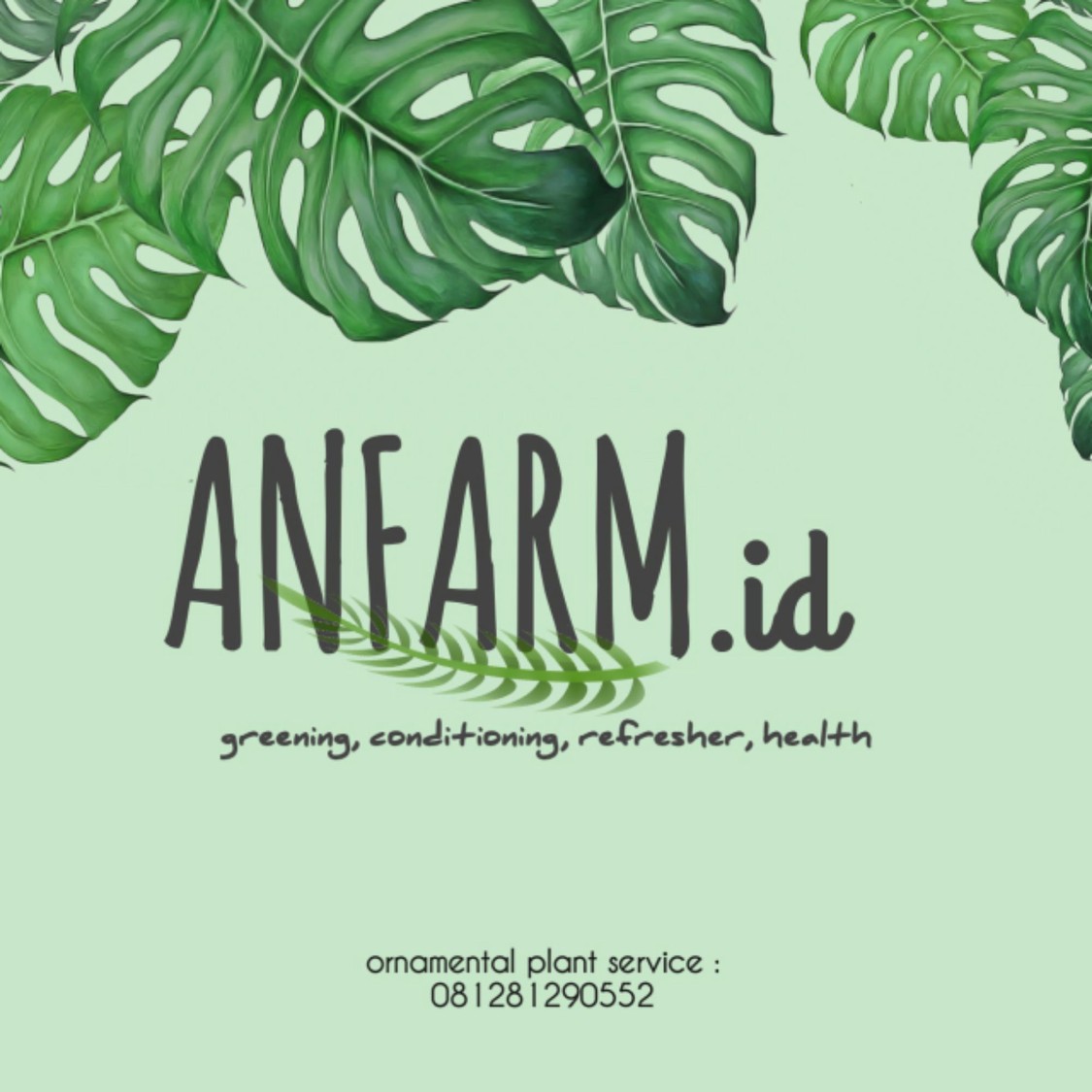 Produk Anfarm.id | Shopee Indonesia