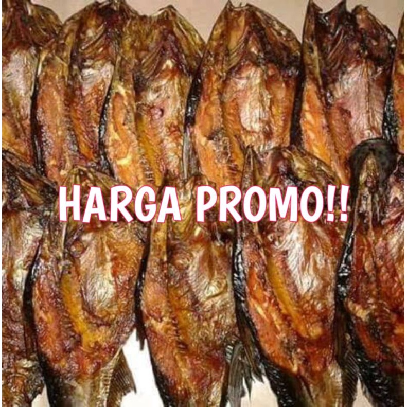 Jual Ikan Salai Baung Sungai | Baung Asap khas Riau | Shopee Indonesia