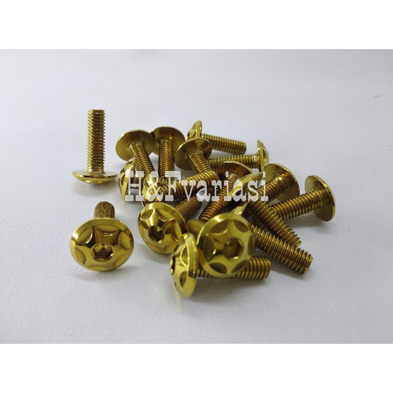 Jual Baut M 6 x 20 Drat 10 Panjang 2cm Model Spyder Probolt Original Stainless Thailand | Shopee ...