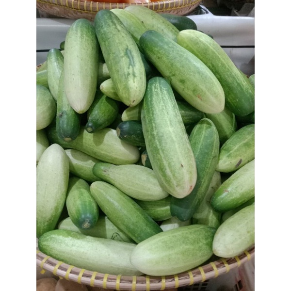 Harga Bonteng Terbaru Februari 2024 |BigGo Indonesia