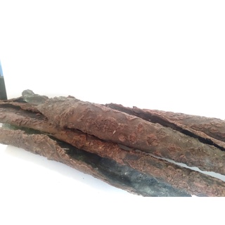 Jual Kulit Krangean Kering / Attarasa / Ki Lemo 500 gr | Shopee Indonesia