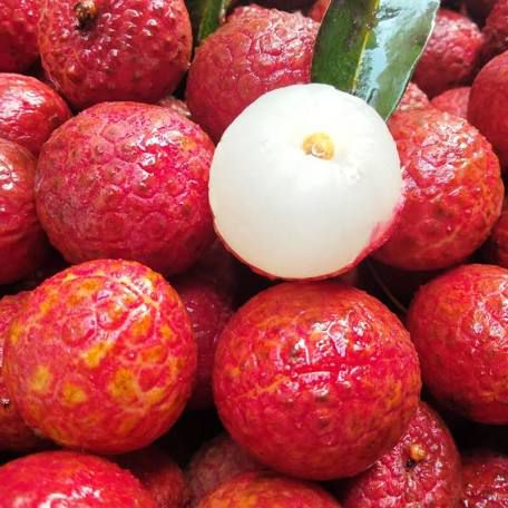 Jual Lecy ( Size Remaja ) | Shopee Indonesia