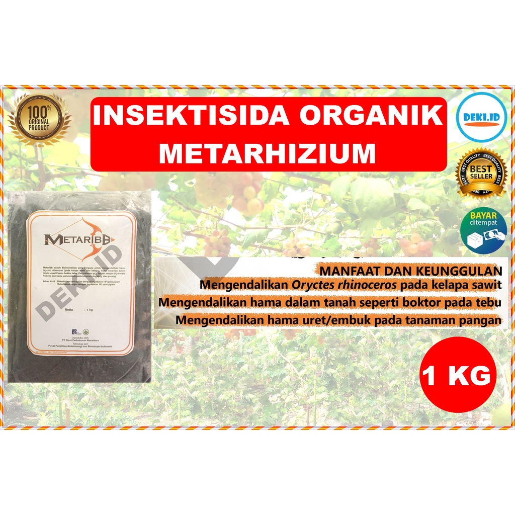 Jual Insektisida Organik Metarhizium Metaribb 1kg Pestisida Jamur ...