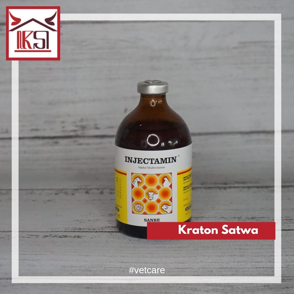 Jual INJECTAMIN 100 ml Multivitamin ADE Injeksi Meningkatkan Kesehatan ...