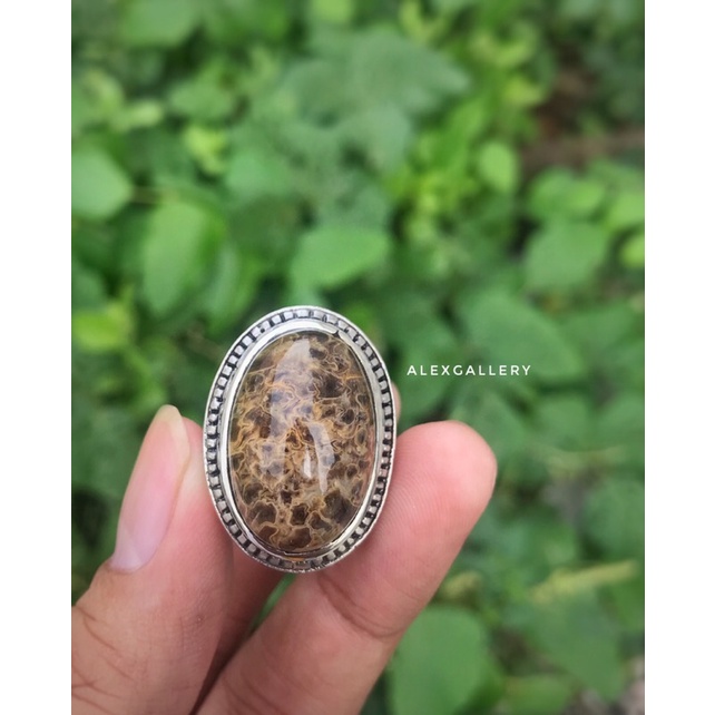 Jual batu fosil kayu unik | Shopee Indonesia