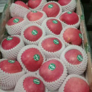 Jual Buah Apel Fuji Wang Shan Premium Fresh / 1 Dus / 13Kg | Shopee ...