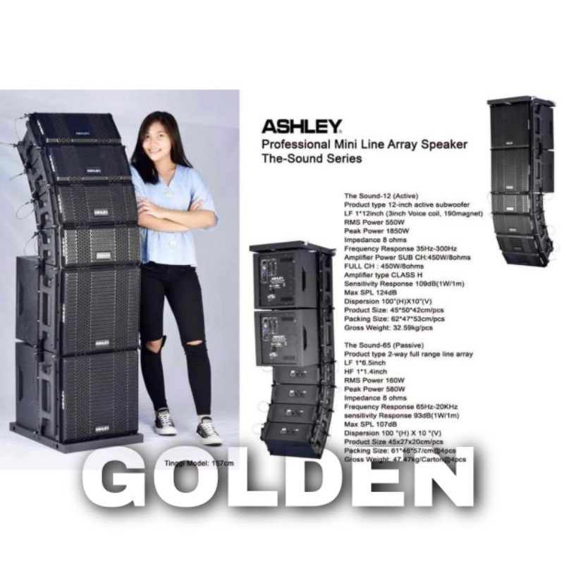 Jual Paket Line Array Ashley The Sound Series 6.5 inch Sub 12 inch ...
