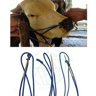 Jual Tali Keluh Keluhan Sapi 6mm 7mm 8mm 9mm | Shopee Indonesia