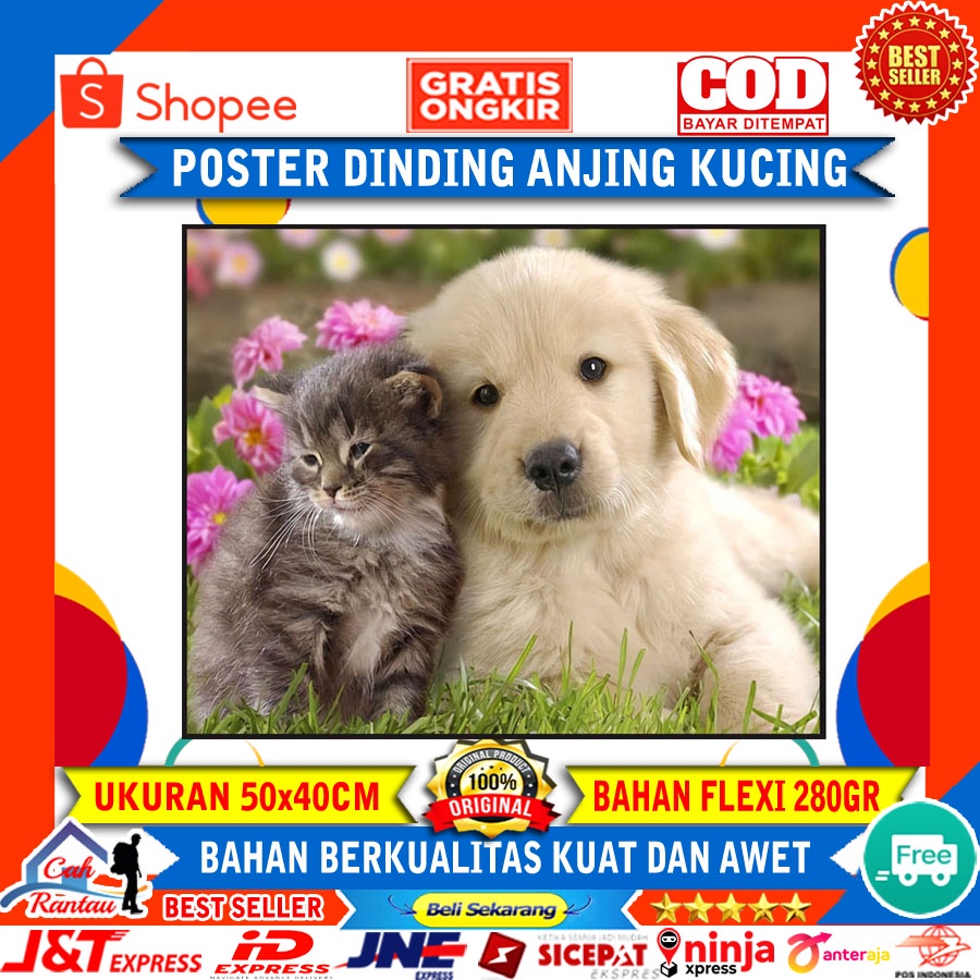 Harga 40x50 gambar poster Terbaru Des 2024 |BigGo Indonesia