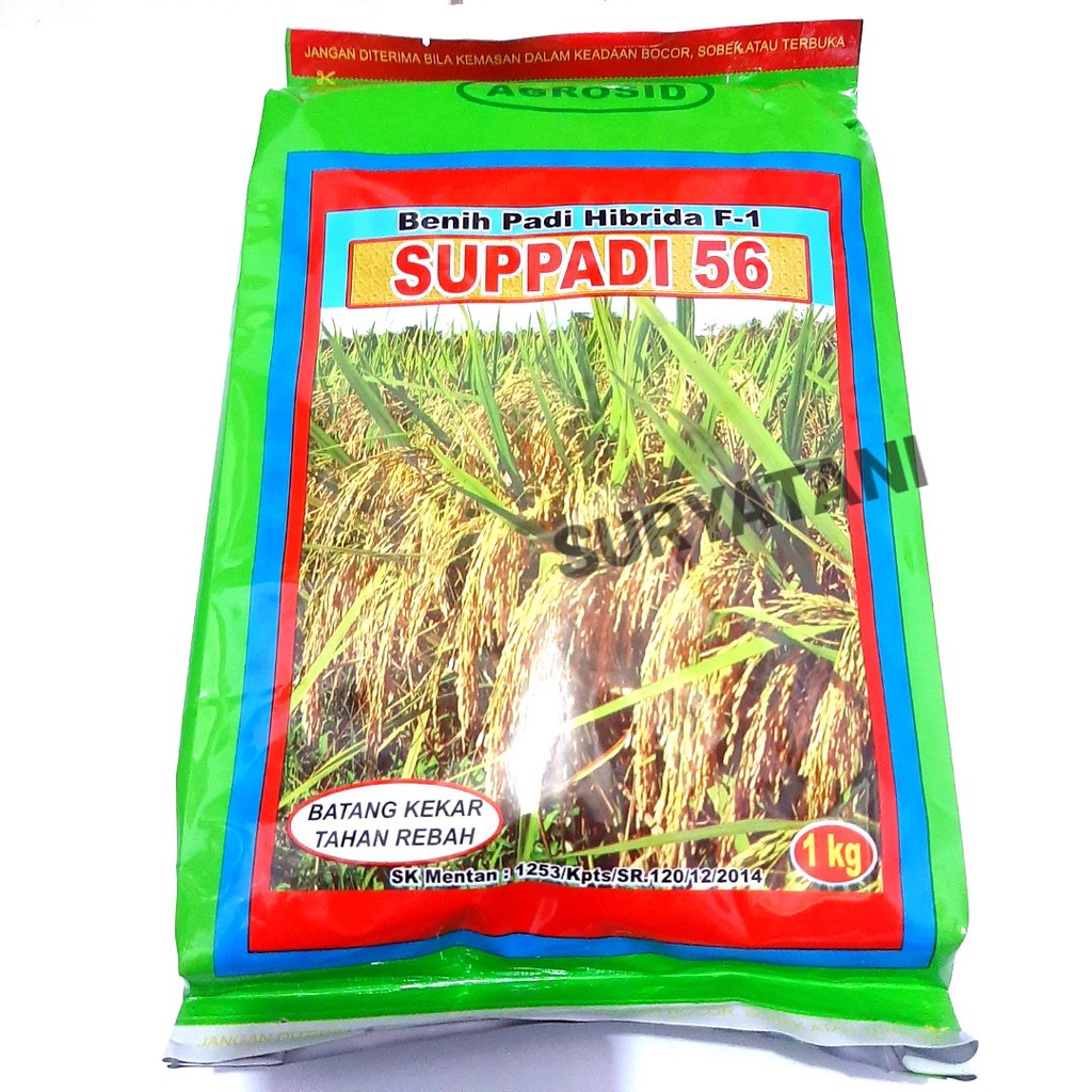 Harga Supadi Terbaru Juni 2022 | BigGo Indonesia