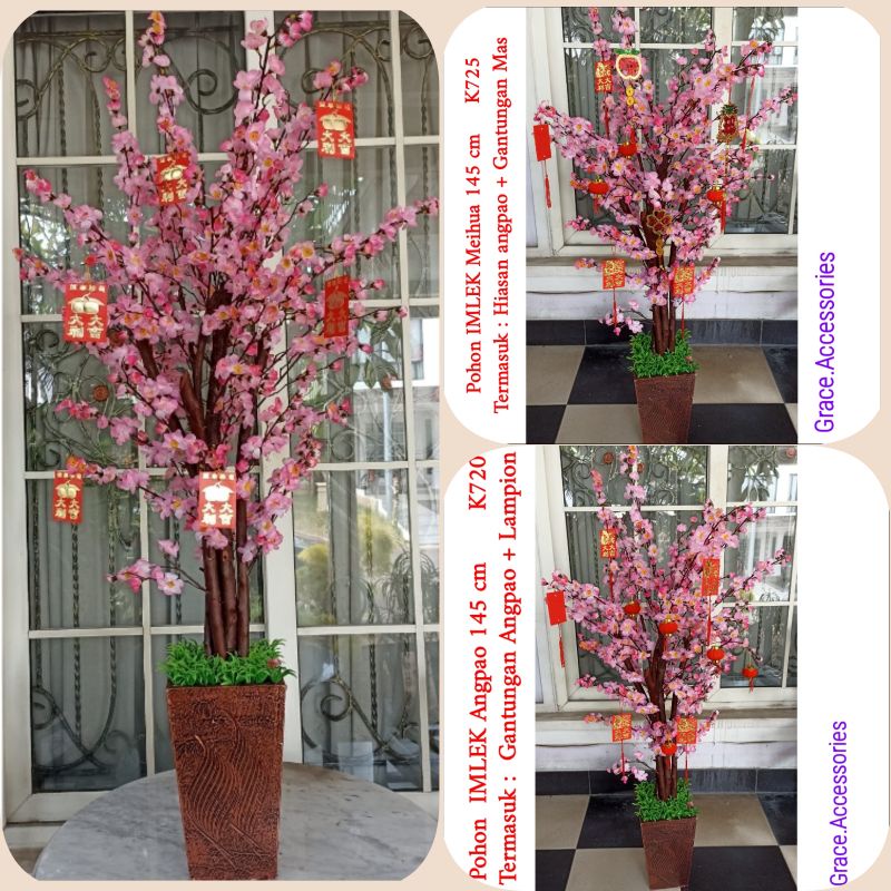 Jual Pohon bunga imlek meihua sincia angpao sakura besar tinggi murah ...
