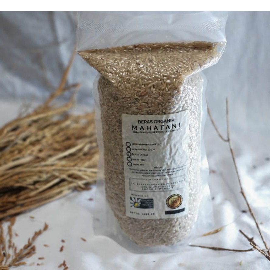 Jual Beras Cokelat Organik 1 Kg Beras sehat Beras organik enak Vaccum ...