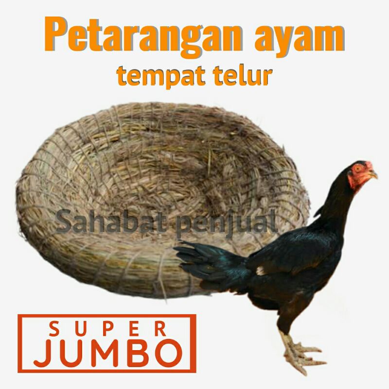 Jual Susuh ayam. petarangan ayam. tempat telur ayam bahan jerami hangat ...