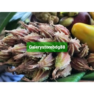 Jual Buah renggak / buah hangasa / buah wresh segar buah langka ...