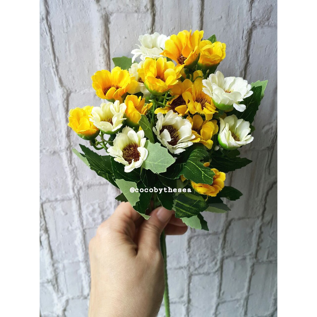 41+ Gambar Bunga Daisy Kuning yang Lagi Ngetrend - Informasi Seputar ...