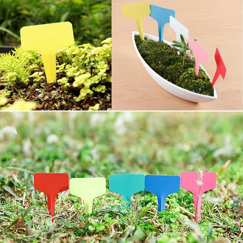 Jual NAME TAG-LABEL TANAMAN-LABEL MARKER-NAME TAG TANAMAN-PENANDA ...