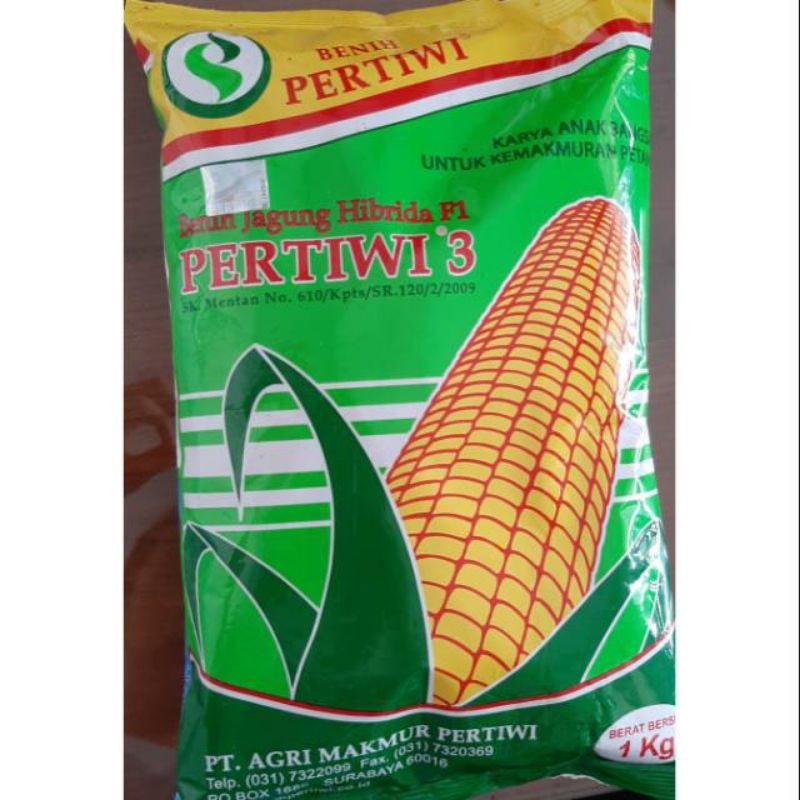 Jual Benih jagung Pertiwi 3 1kg | Shopee Indonesia