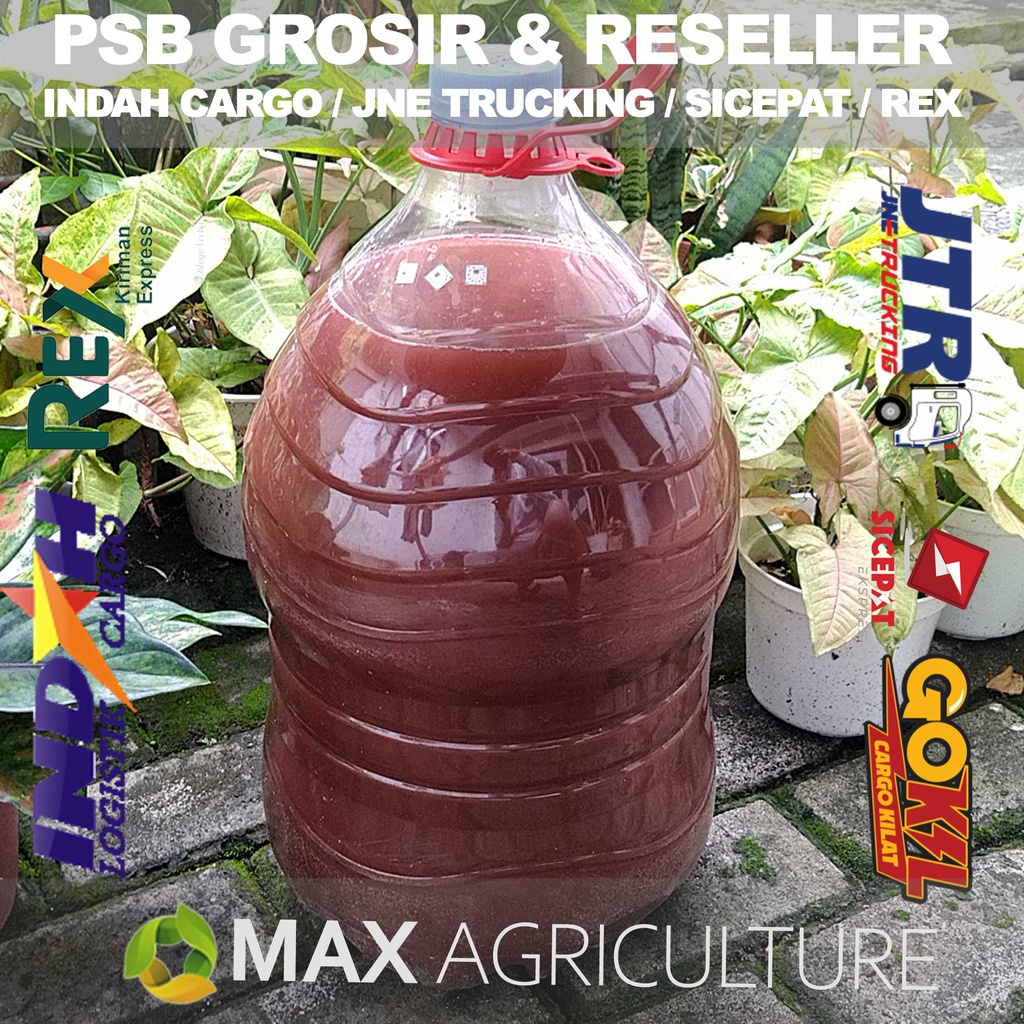 Jual PSB 15 liter pengiriman cargo | Shopee Indonesia