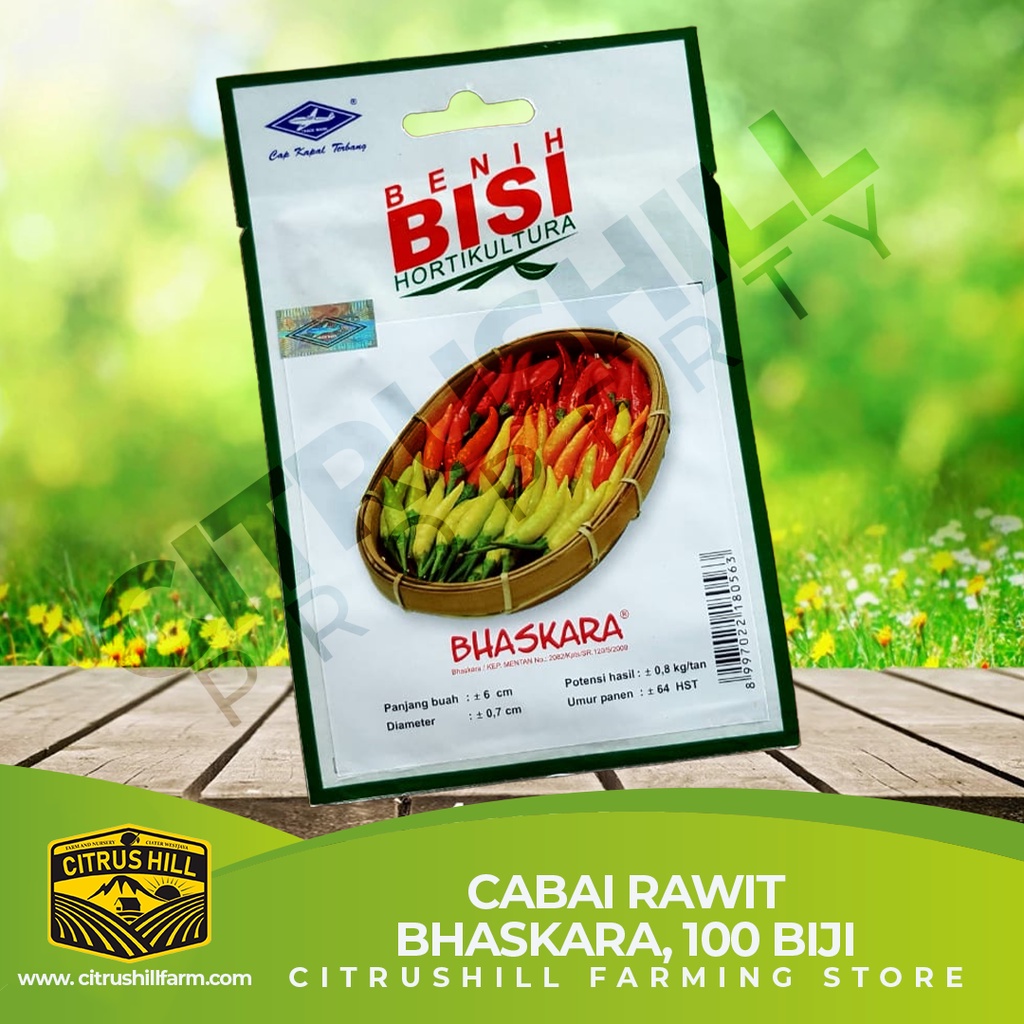 Jual BIBIT CABAI RAWIT - BENIH CABE RAWIT - BENIH CABAI RAWIT BHASKARA ...