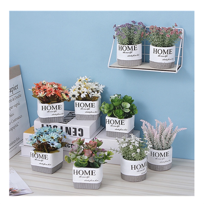 Catat! 29+ Tanaman Bunga Pot Kecil yang Wajib Diketahui - Informasi ...