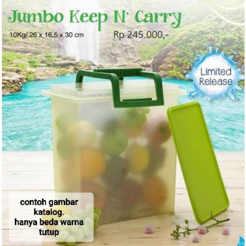 Jual Tupperware Keep N Carry Large Jumbo 10 Kg Clear Tutup dan Handle ...