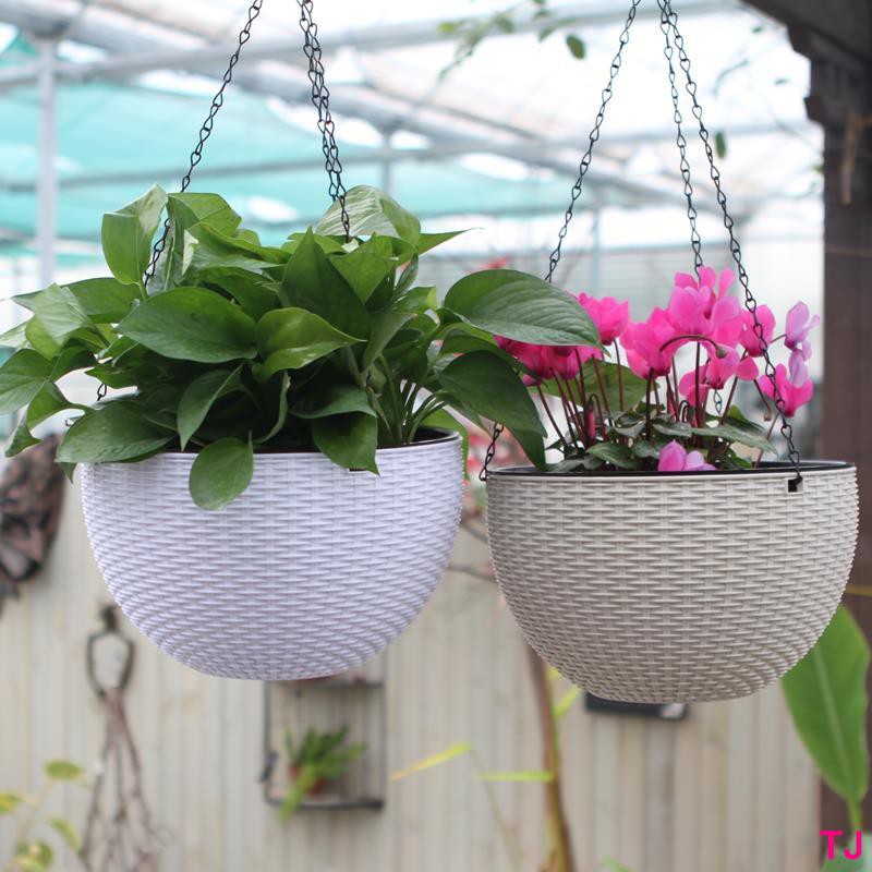 Simak! Contoh Bunga Yang Digantung yang Mantul! - Informasi Seputar ...