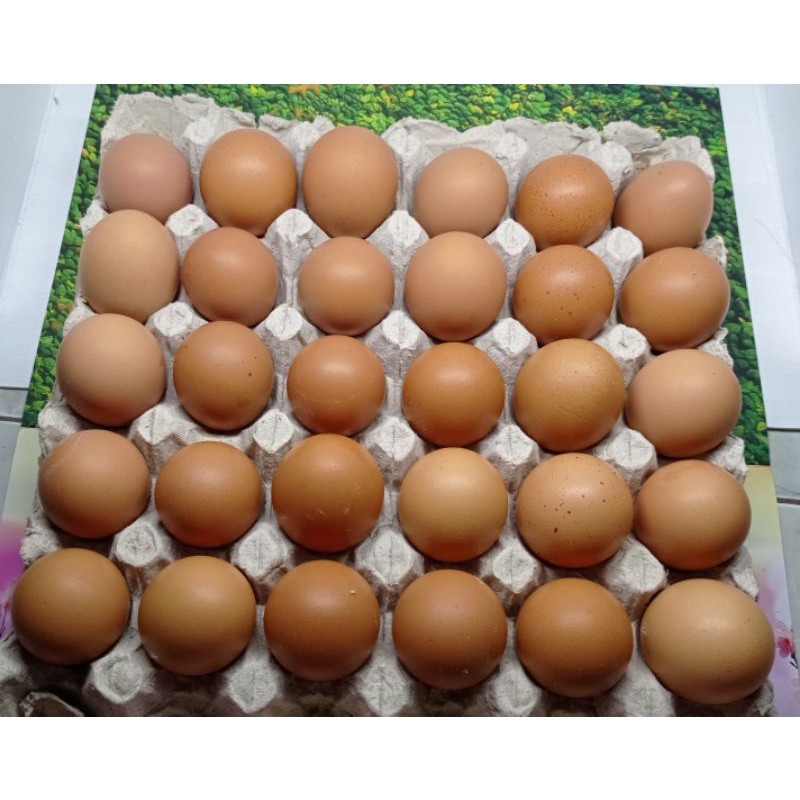 Jual TELUR AYAM NEGERI OMEGA 3 | Shopee Indonesia